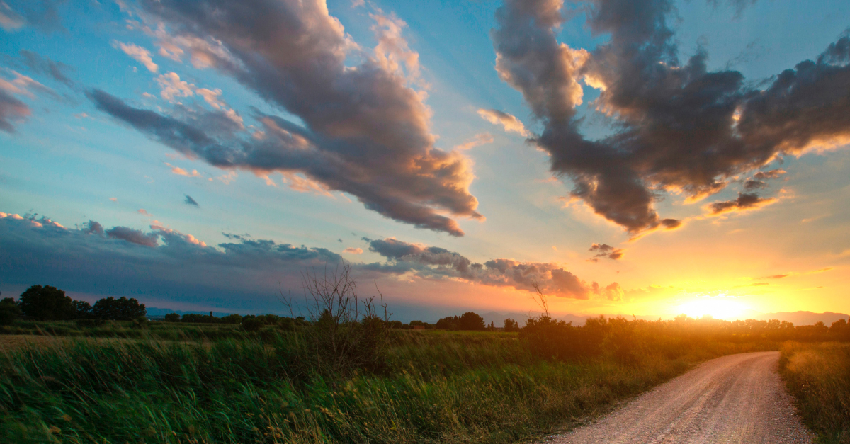 Thank You | Flexential